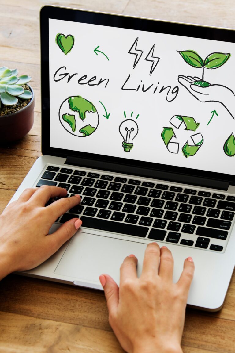 20+ Easy Ways To Live More Eco-Friendly And Sustainable